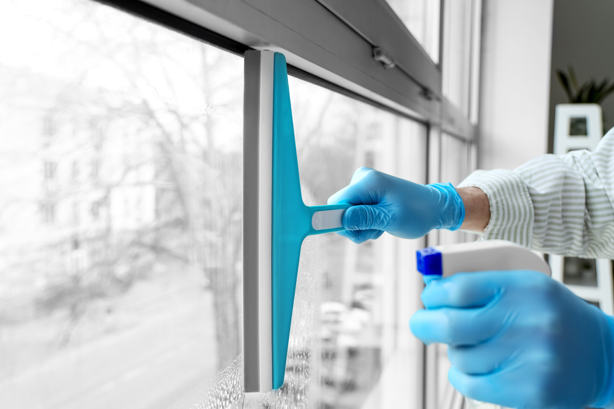 Window Cleaning: A Guide to Sparkling Panes | Squeaky Cleaning